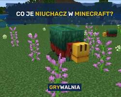 Nowości w Minecraft w 2024 roku