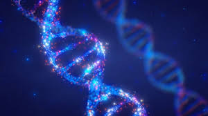 Senti Biosciences Inc (SNTI) Stock Price & News - Google Finance