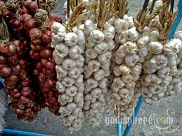 英和画像辞典：(iloko (native from ilocos))の関連画像一覧！