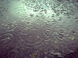 英和画像辞典：(puddle)の関連画像一覧！ – おもしろい英文法