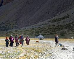 Prostration in Buddhism: Meaning and Benefits