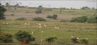 英和画像辞典：(maldhok)の関連画像一覧！