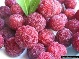 英和画像辞典：(the tree with edible fruit)の関連画像一覧！ – おもしろい英文法