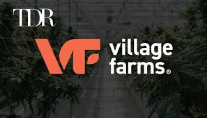 Village Farms International Inc (VFF) Stock Price & News - Google Finance