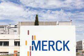 Merck & Co Inc (MRK) Stock Price & News - Google Finance