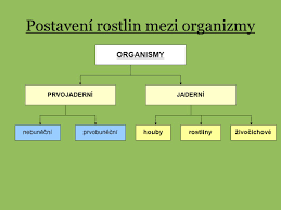 英和画像辞典：(systematika)の関連画像一覧！
