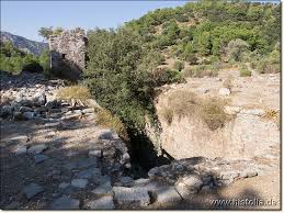 英和画像辞典：(lydae)の関連画像一覧！ – おもしろい英文法