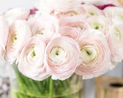 Ranunculus vs. Roses: Which Flower Reigns Supreme for Your Wedding ...
