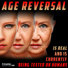 英和画像辞典：(being tested)の関連画像一覧！ – おもしろい英文法
