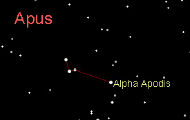 英和画像辞典：(apus)の関連画像一覧！