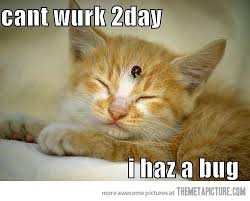 your window into my life