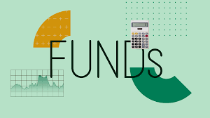 Fidelity Large Cap Growth Index Fund (FSPGX) Mutual Fund Price & News ...