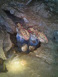 英和画像辞典：(diver corpse)の関連画像一覧！