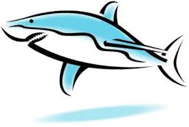 Sharks, Sharks, Sharks! | Create WebQuest