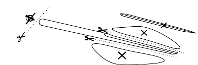 英和画像辞典：(quill plectrum)の関連画像一覧！ – おもしろい英文法