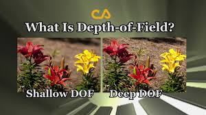 英和画像辞典：(deep depth)の関連画像一覧！ – おもしろい英文法