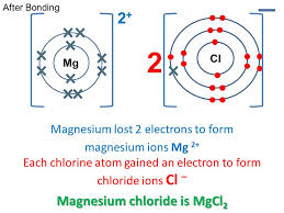 英和画像辞典：(magnesium ions)の関連画像一覧！ – おもしろい英文法