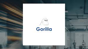 Gorilla Technology Group Inc (GRRR) Stock Price & News - Google Finance