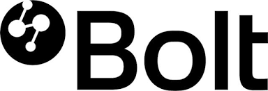 Bolt Projects Holdings Inc (BSLK) Stock Price & News - Google Finance