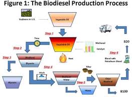 biodiesel kit: Making Bio Diesel