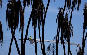 Hawaiian Electric Industries, Inc. (HE) Stock Price & News - Google Finance