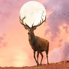 Immerse Your Senses In The Breathtaking Views Of The Stunning ‘Super ...