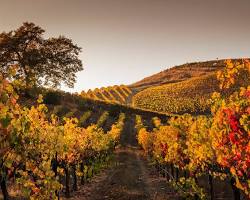 What Are the Popular Fall Festivals in Washington State? - Hudson's ...