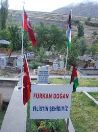 英和画像辞典：(dogan (name))の関連画像一覧！ – おもしろい英文法