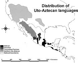 英和画像辞典：(uto-aztecan)の関連画像一覧！