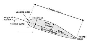 英和画像辞典：(wing profile)の関連画像一覧！