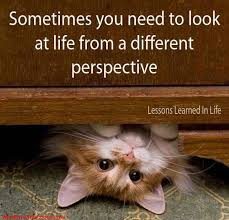 FUNNY-LIFE-QUOTES-TO-LIVE-BY, relatable quotes, motivational funny ...