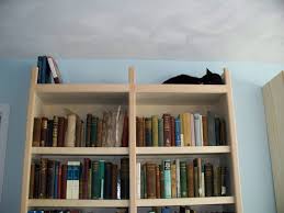 英和画像辞典：(in the immediate vicinity, touching)の関連画像一覧！