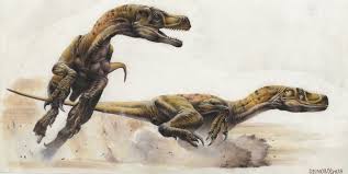 Fakta Menarik & Unik – Scrum ZOO – Dinoraptor