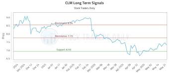 Cornerstone Strategic Investmnt Fund Inc (CLM) Price & News - Google ...