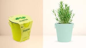 Five Below Inc (FIVE) Stock Price & News - Google Finance