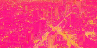 Distribution Solutions Group Inc (DSGR) Stock Price & News - Google Finance