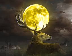 Immerse Your Senses In The Breathtaking Views Of The Stunning ‘Super ...