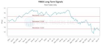 YieldMax Universe Fund of Option Income ETFs (YMAX) Price & News ...