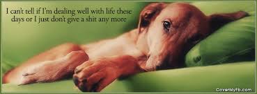 FUNNY-LIFE-QUOTES-FACEBOOK, relatable quotes, motivational funny funny ...