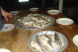 英和画像辞典：(murwa)の関連画像一覧！ – おもしろい英文法