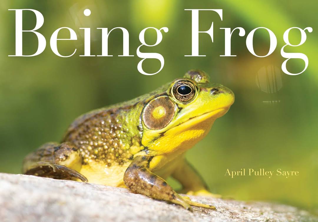 30 Children's Books About Frogs - Teaching Expertise