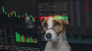 Mach Natural Resources LP (MNR) Stock Price & News - Google Finance